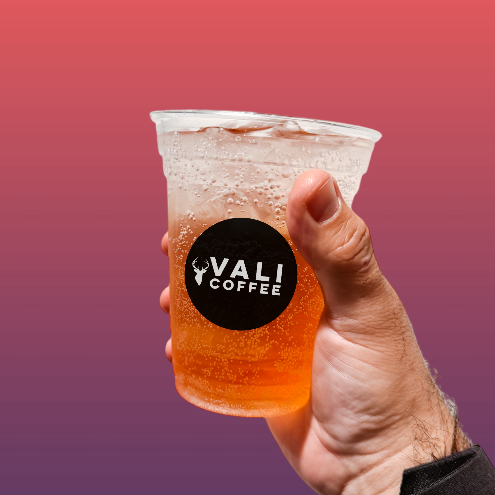 Fusion Stag | Vali Coffee
