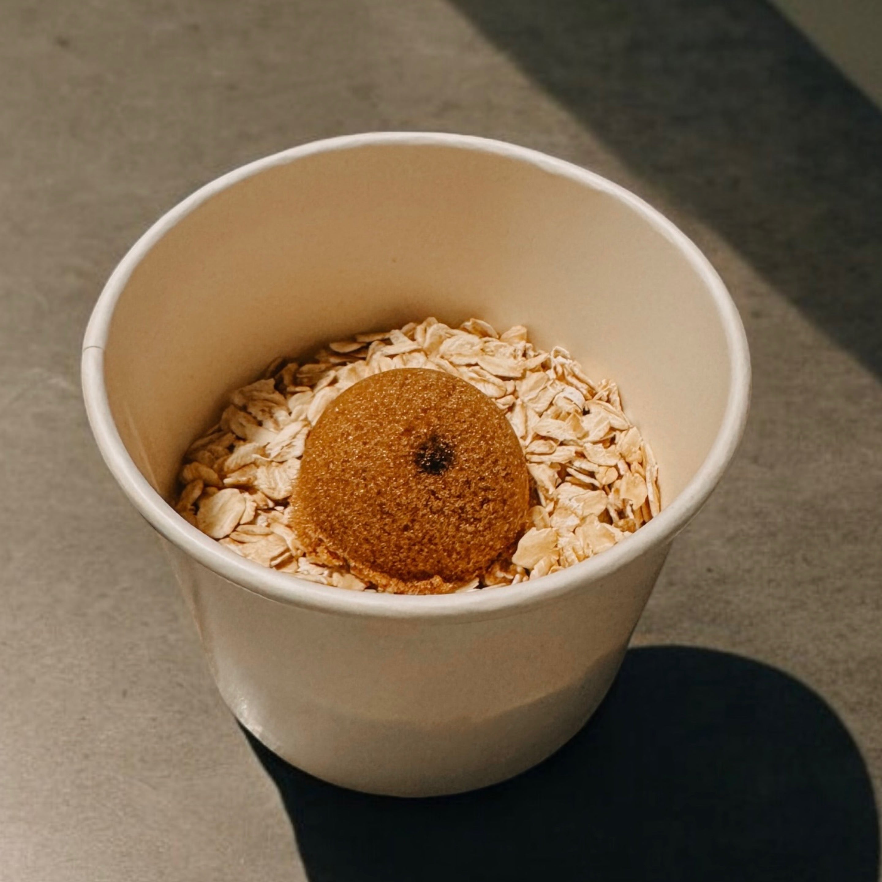 Brown Sugar Oatmeal Cup | Vali Coffee
