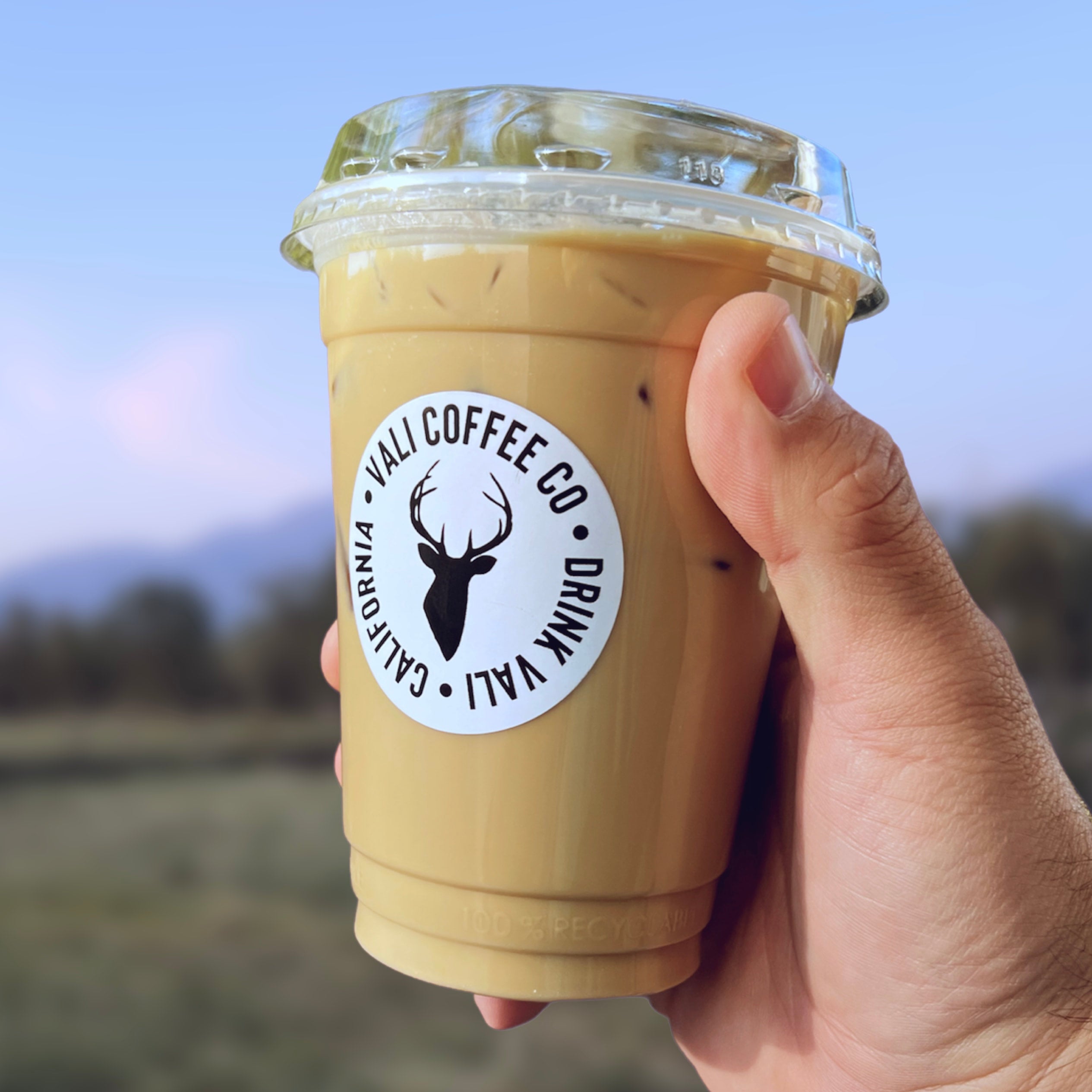 Iced Spiced Brown Sugar Latte | Vali Coffee